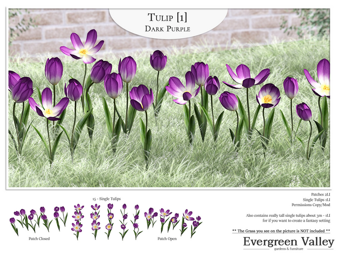 Second Life Marketplace - Tulip [1] Dark Purple